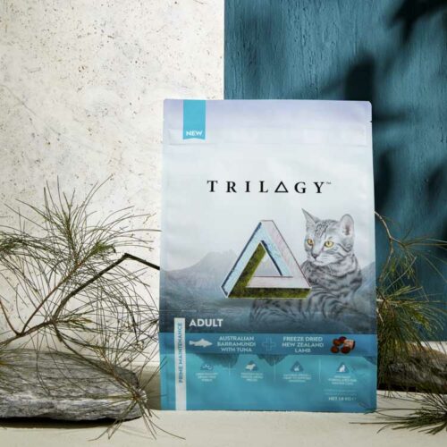 Home - Trilogy 奇境